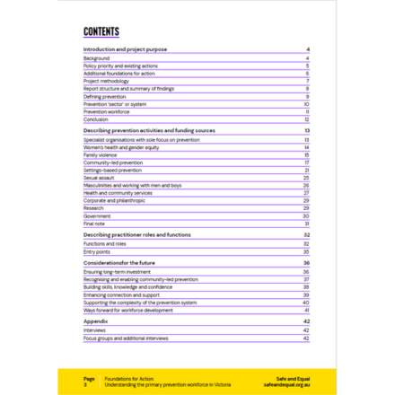 Foundations for Action: Understanding the primary prevention workforce ...