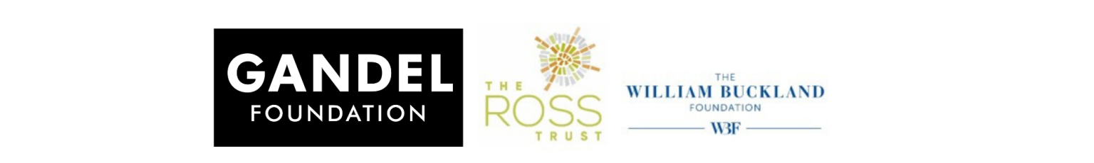 Family Violence Philanthropy Collaboration Project | Safe and Equal